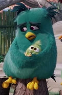 Edward (Movie)/Gallery | Angry Birds Wiki | Fandom