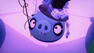 Shaman Pig (Stella) | Angry Birds Wiki | Fandom