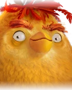 Cletus | Angry Birds Wiki | Fandom