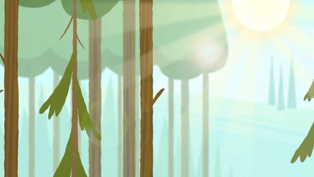 Camp Splintarrrwood!/Галерея | Angry Birds Wiki | Fandom
