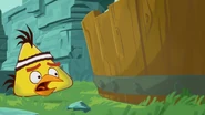 Chuck Time | Angry Birds Wiki | Fandom
