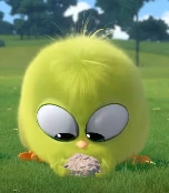 Vincent/Galería | Angry Birds Wiki | Fandom