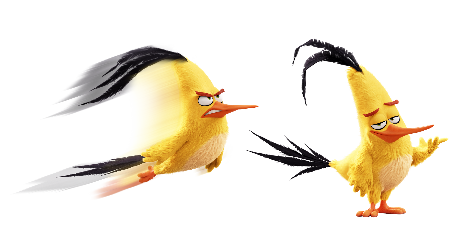 Chuck Angry Birds Wiki Fandom