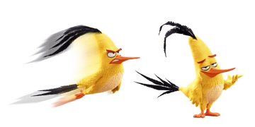 angry birds go coloring pages chuck