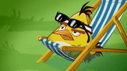 Chuck Time | Angry Birds Wiki | Fandom