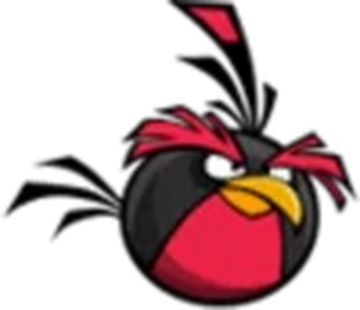 Angry Birds Saison 1 : Un Bonbon Ou Un Sort
