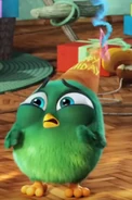 Timothy/Gallery | Angry Birds Wiki | Fandom