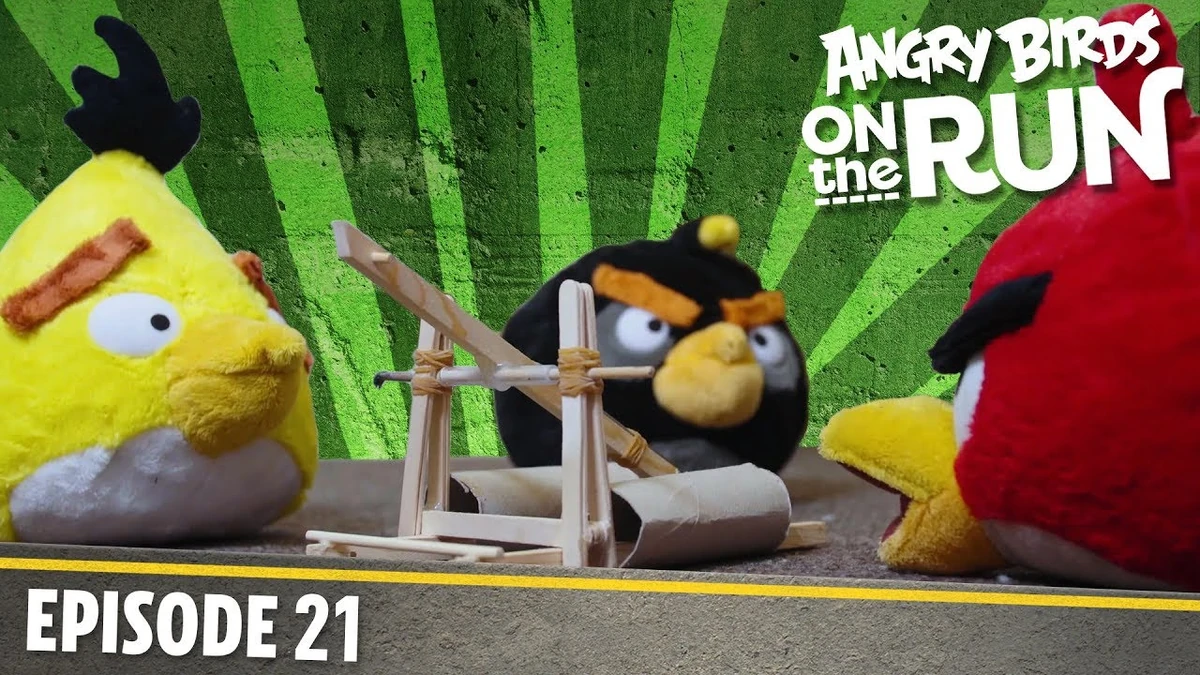 The Birds Get Angry | Angry Birds Wiki | Fandom