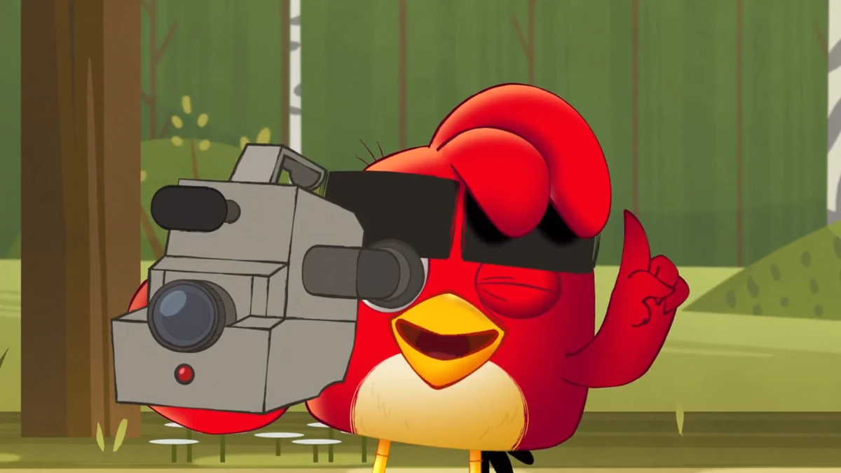 Lights! Camera! Destruction! | Angry Birds Wiki | Fandom