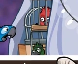 Caged Birds | Angry Birds Wiki | Fandom