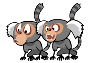Marmosets | Angry Birds Wiki | Fandom