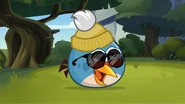 Birdsona Creator | Angry Birds Wiki | Fandom