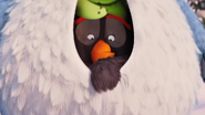 Harvey | Angry Birds Wiki | Fandom