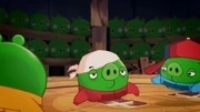 Pig Talent | Angry Birds Wiki | Fandom