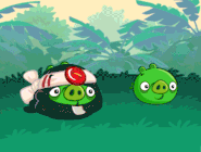 Ninja Pig | Angry Birds Wiki | Fandom