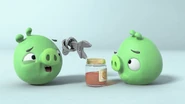 Jammed | Angry Birds Wiki | Fandom