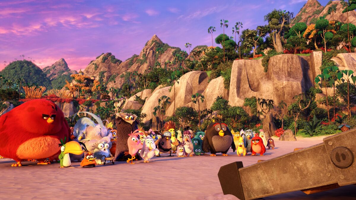 Bird (species) | Angry Birds Wiki | Fandom