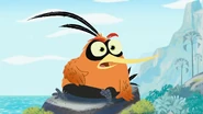 The Angry Birds Movie - Hal and Bubbles | Angry Birds Wiki | Fandom