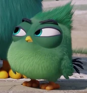 Timothy/Gallery | Angry Birds Wiki | Fandom