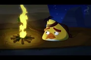 Chucked Out | Angry Birds Wiki | Fandom