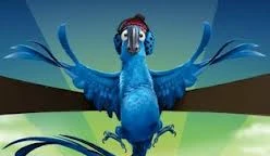 Blu | Angry Birds Wiki | Fandom