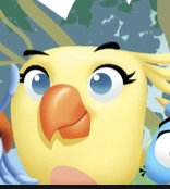 Poppy/Gallery | Angry Birds Wiki | Fandom
