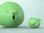 Puffed Up | Angry Birds Wiki | Fandom