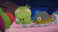 Sleep Like a Hog | Angry Birds Wiki | Fandom