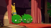 Pig Talent | Angry Birds Wiki | Fandom