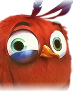 Timothy | Angry Birds Wiki | Fandom