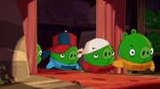Pig Talent | Angry Birds Wiki | Fandom