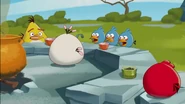 Cordon Bleugh! | Angry Birds Wiki | Fandom