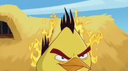Mind The Pony | Angry Birds Wiki | Fandom