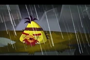 Chucked Out | Angry Birds Wiki | Fandom