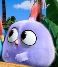 Will/Gallery | Angry Birds Wiki | Fandom