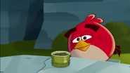 Cordon Bleugh! | Angry Birds Wiki | Fandom