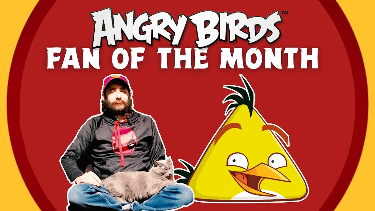 Angry Birds Fan of the Month | Angry Birds Wiki | Fandom