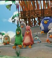 Bird Village | Angry Birds Wiki | Fandom