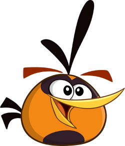 Bird bubble store