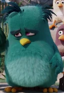 Edward (Movie)/Gallery | Angry Birds Wiki | Fandom
