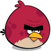 Big Brother Bird | Angry Birds Awesome Wiki | Fandom