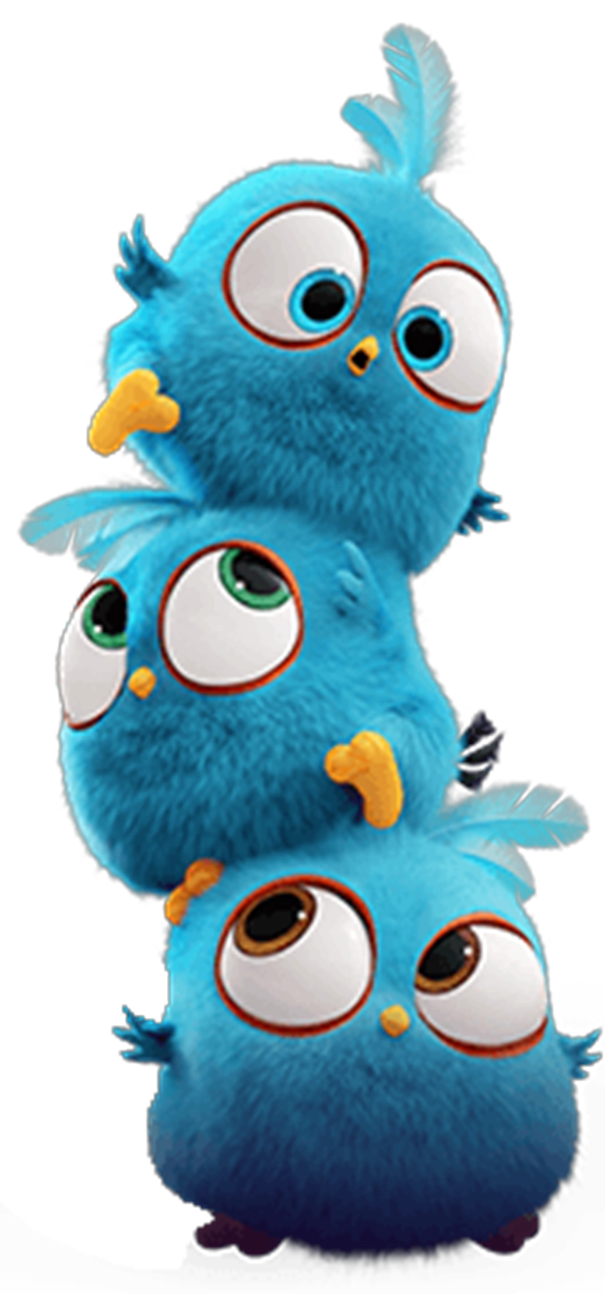 Blue Bird | Angry Birds Club Wiki | Fandom