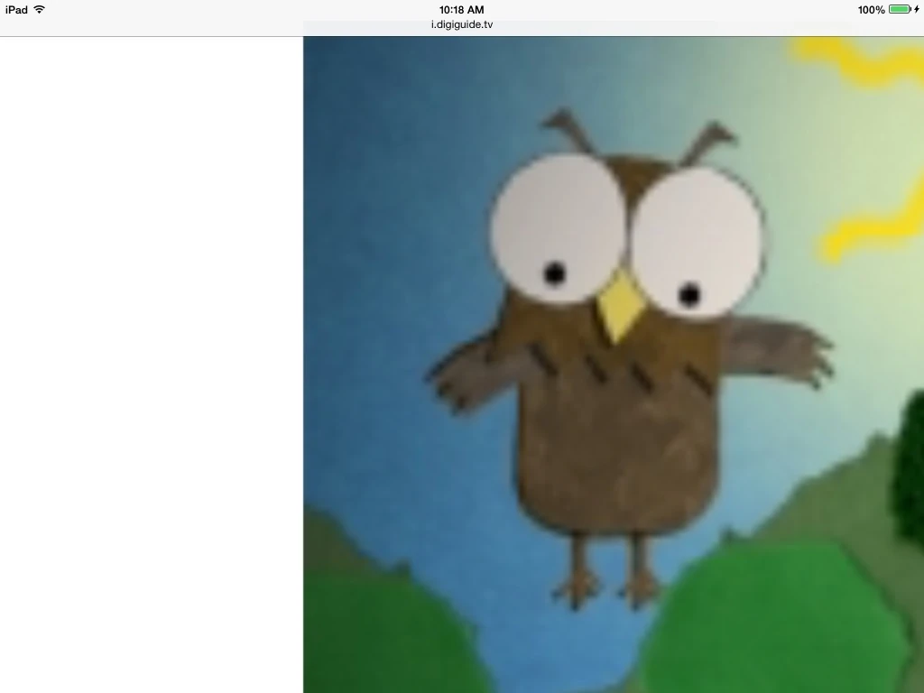 Hoot | Angry Birds Craptastic Wiki | Fandom