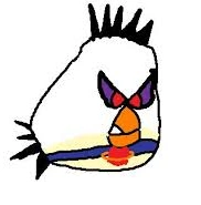 Matt 1 Million | Angry Birds Fan Wiki | Fandom