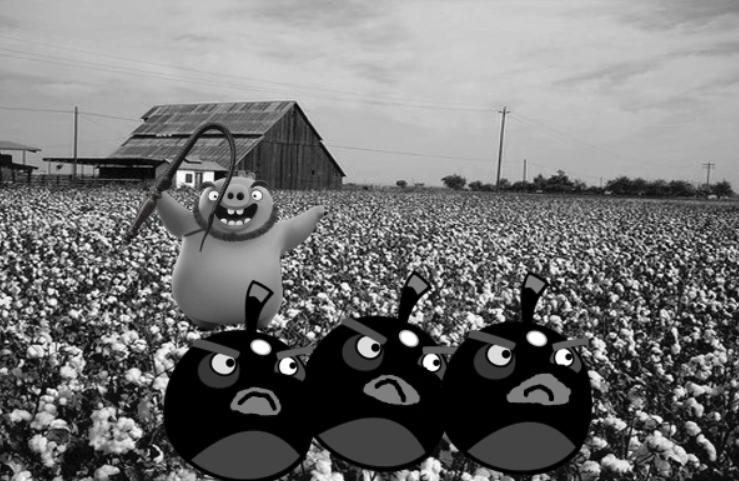 Angry Birds During The Civil War | Angry Birds Fanon Wiki | Fandom