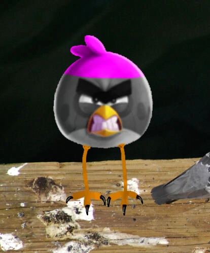 Gary | Angry Birds Fanon Wiki | Fandom