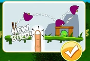 Zippy | Angry Birds Fanon Wiki | Fandom