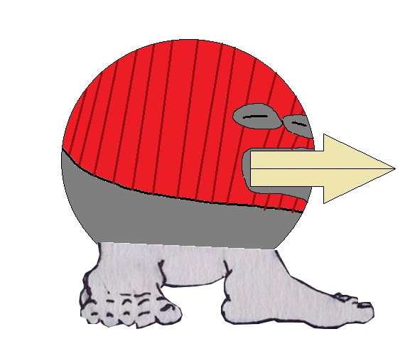 Ben Bird | Angry Birds Fanon Wiki | Fandom