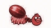 Summer Melon Bird | Angry Birds Fanon Wiki | Fandom
