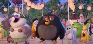 Debbie | Angry Birds Fanon Wiki | Fandom